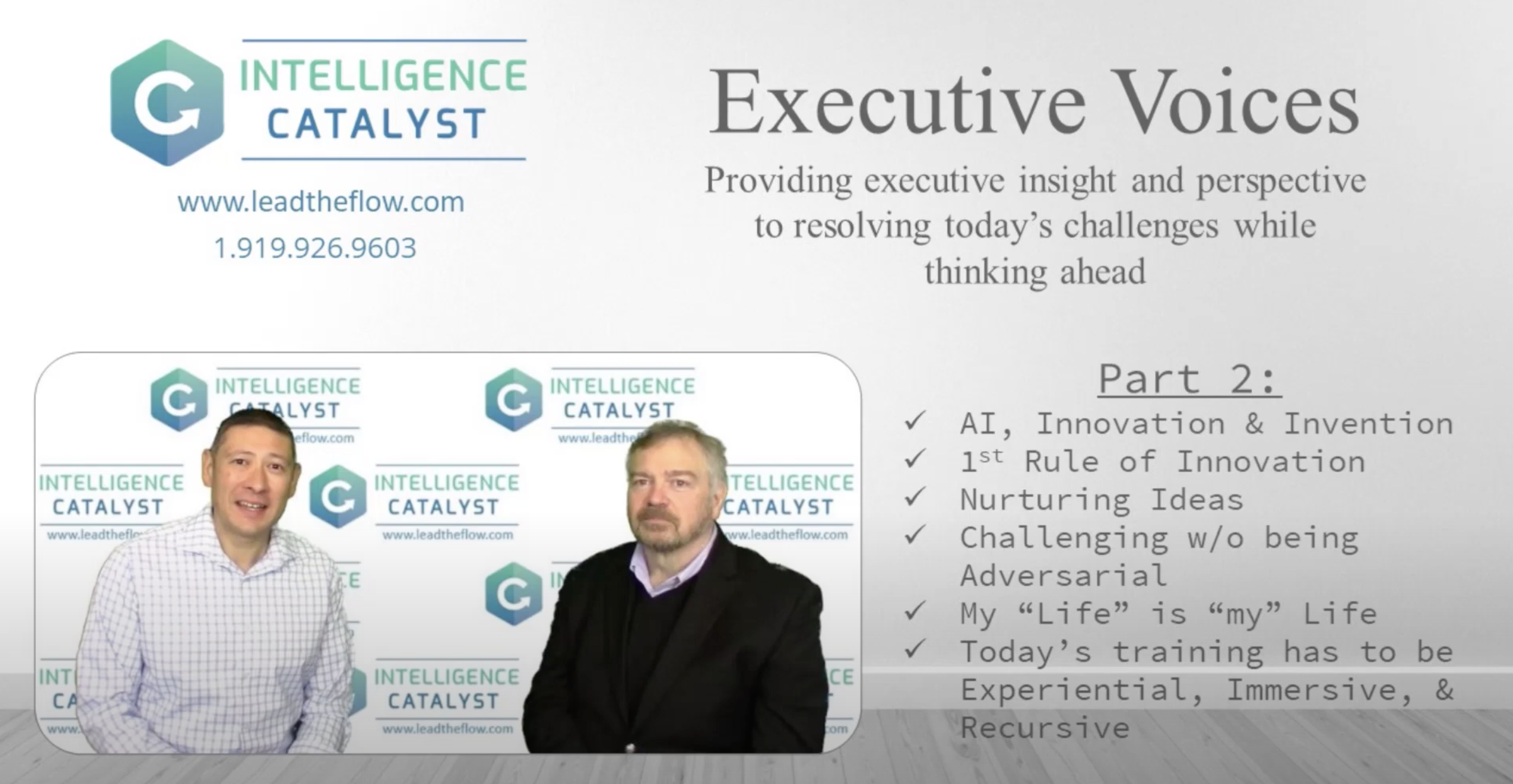 Executive Voices - Part 2 - Intelligence Catalyst